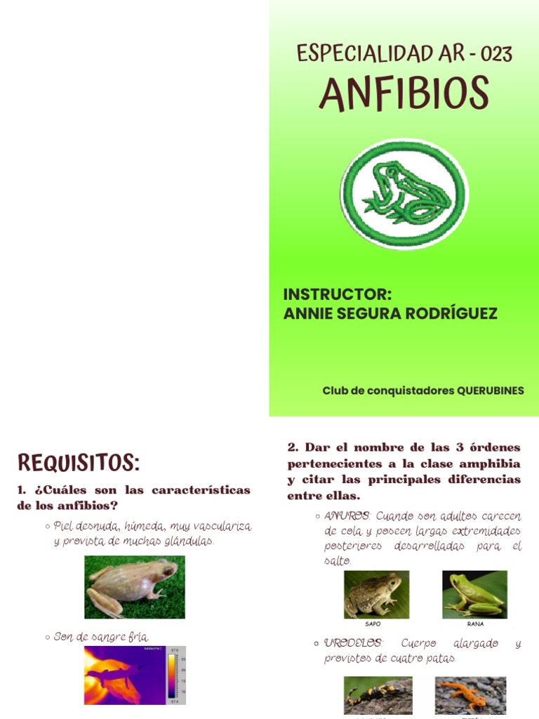 Especialidad de Anfibios | PDF | Anfibio | Rana