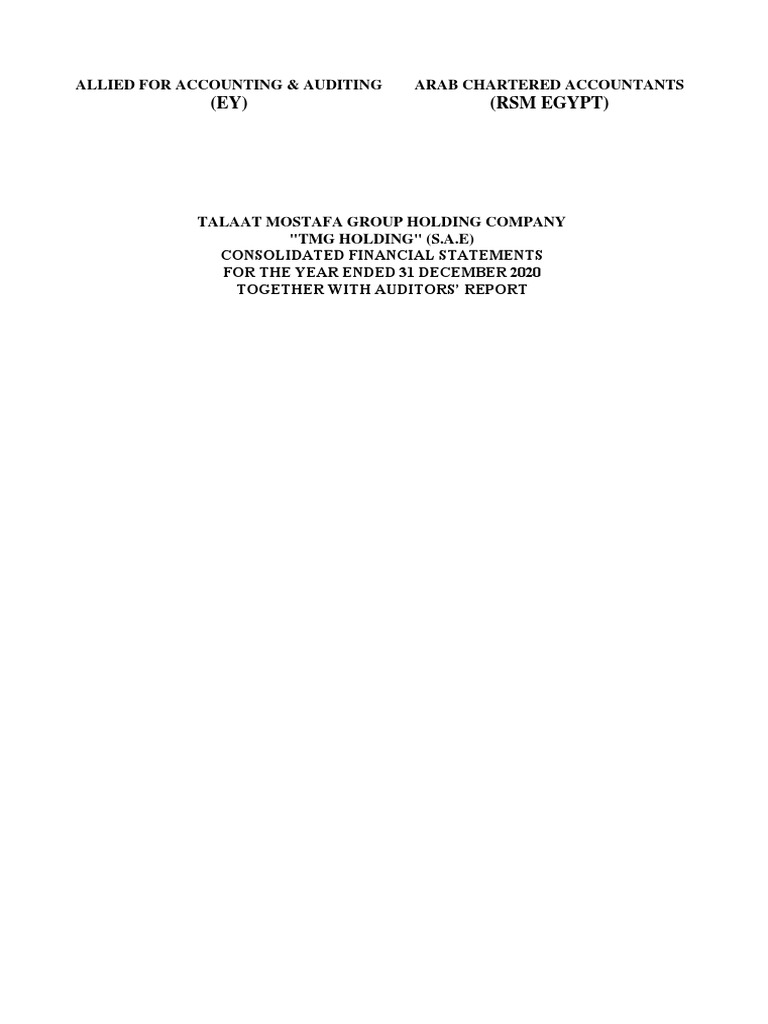 Financial Report for TMG Holding | PDF | Debits And Credits | Goodwill ...