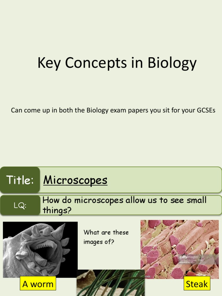 CB1a Microscopes | PDF | Microscope | Electron Microscope