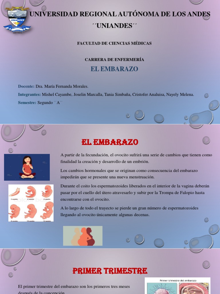 El Embarazo | Descargar gratis PDF | El embarazo | Feto