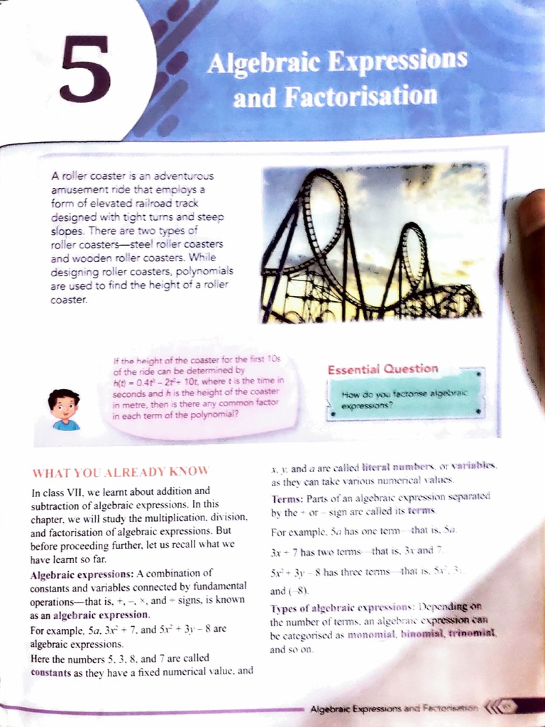 Algebraic Expressions | PDF | Abstract Algebra | Elementary Mathematics