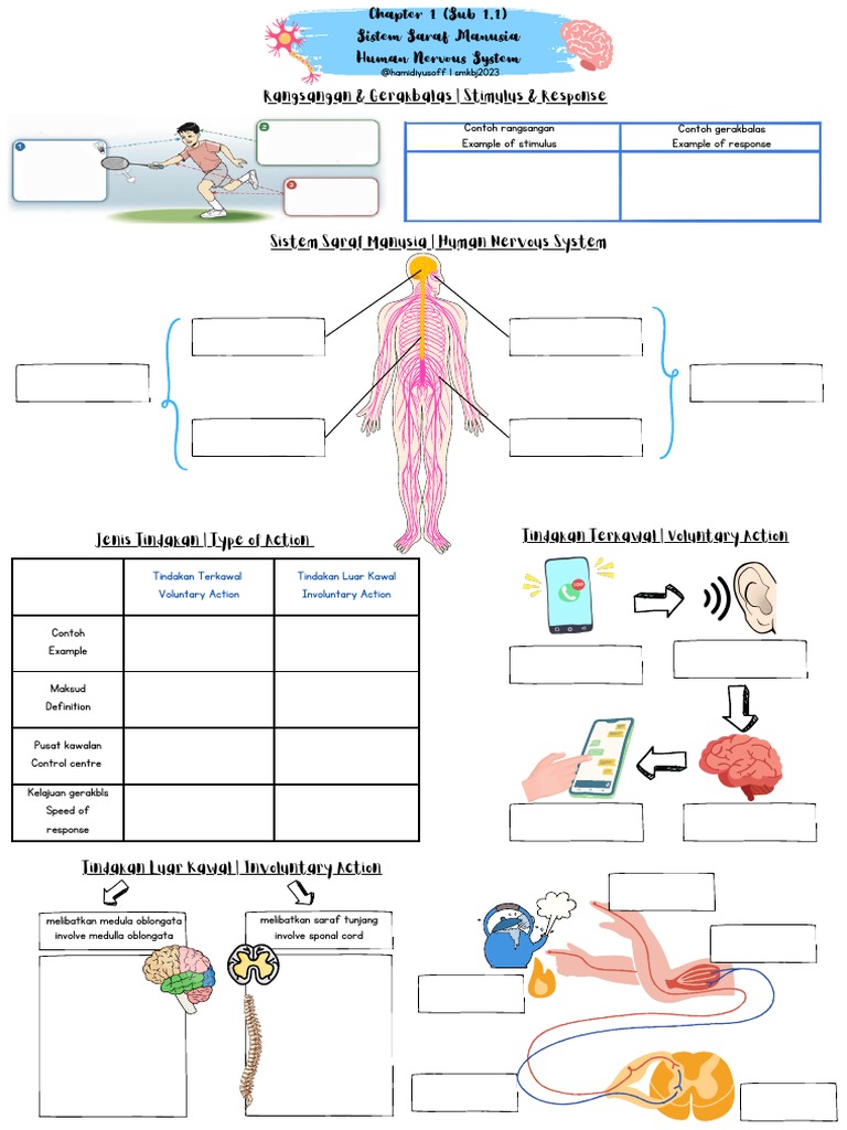 F3 Science Chapter 1 | PDF | Visual Perception | Retina