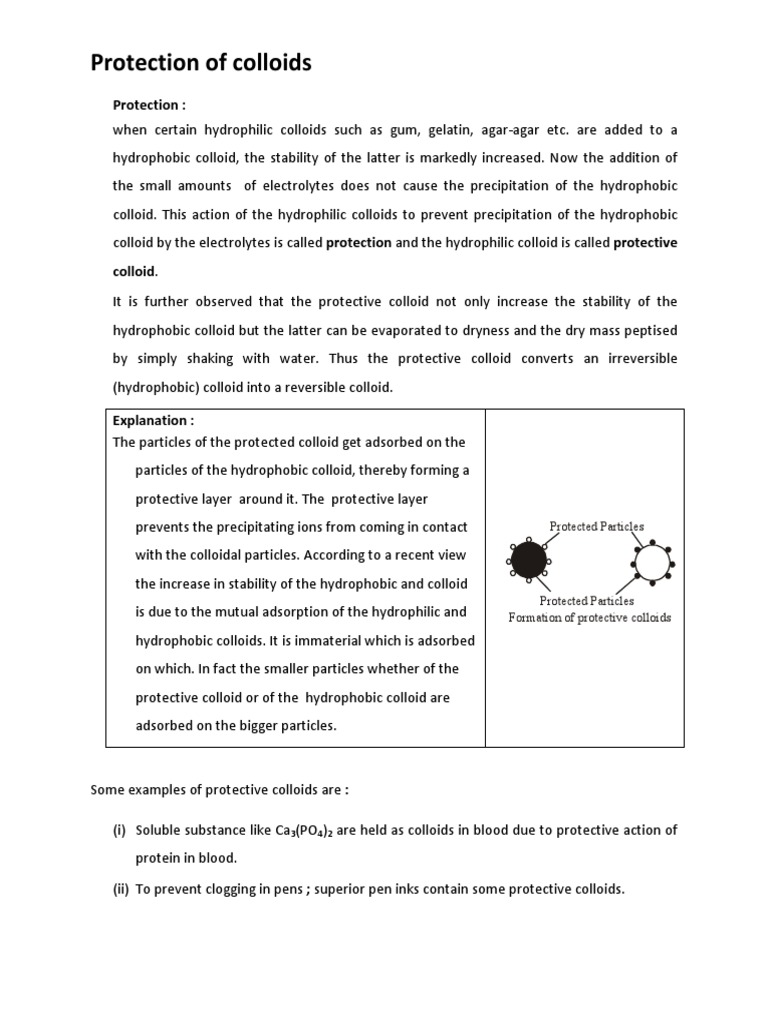 Protective Colloids and Uses of Colloids | PDF | Colloid | Adsorption