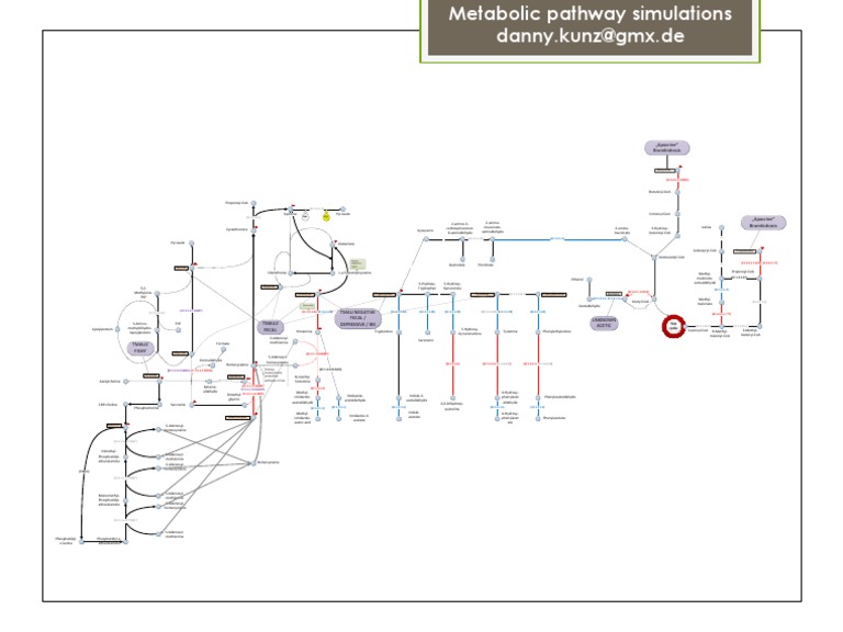 Metabolic Pathway Simulations_overview | PDF | Citric Acid Cycle ...