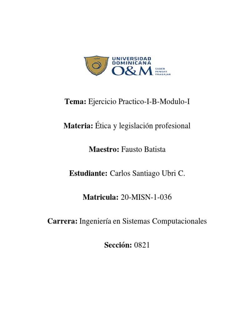 Ejercicio Practico I B Modulo I | PDF | Business