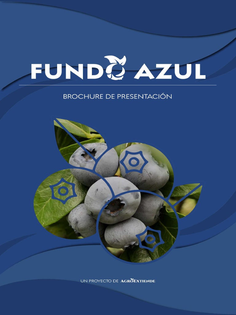 Brochure Fundo Azul | PDF