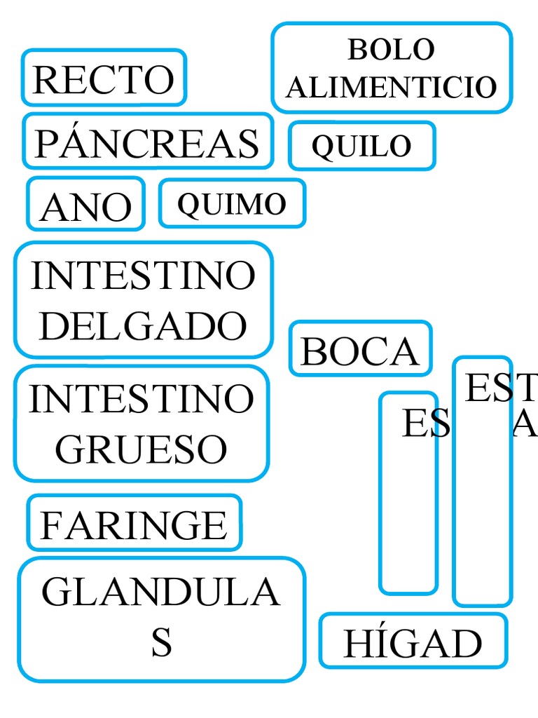 Nombres Digestivo | PDF | Salud y bienestar