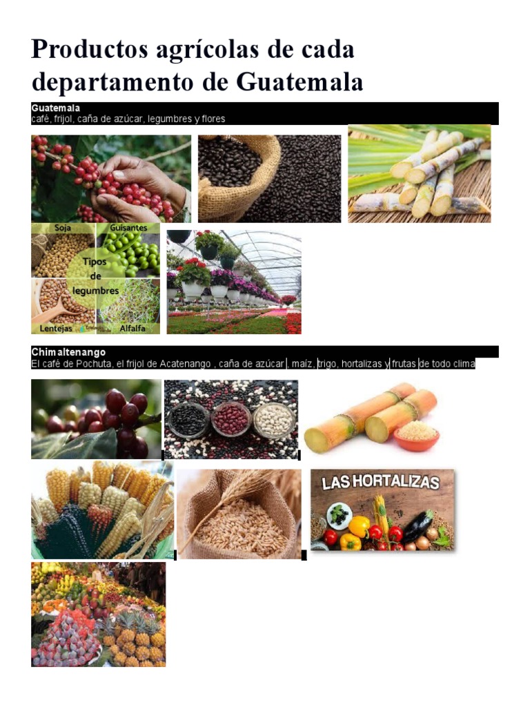 Productos Agrícolas de Cada Departamento de Guatemala | PDF