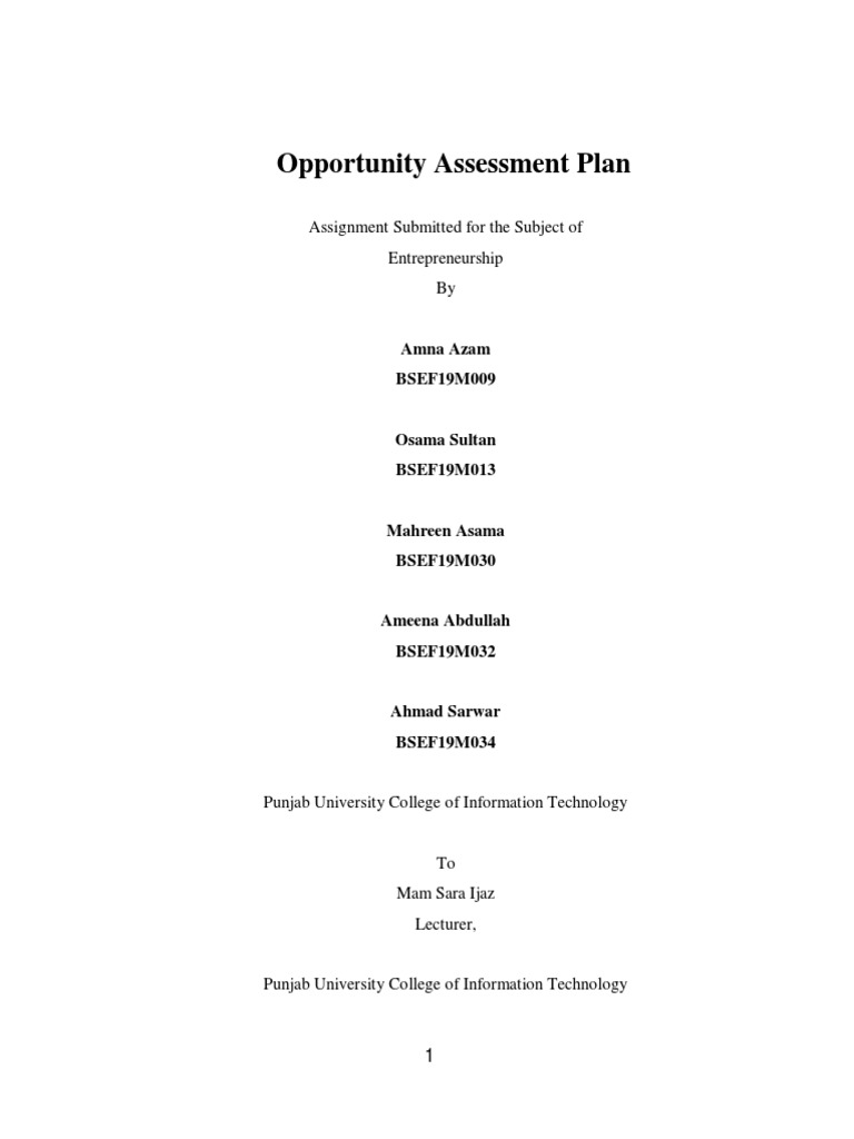 Opportunity Assessment Plan | PDF | Luxury Goods | Brand