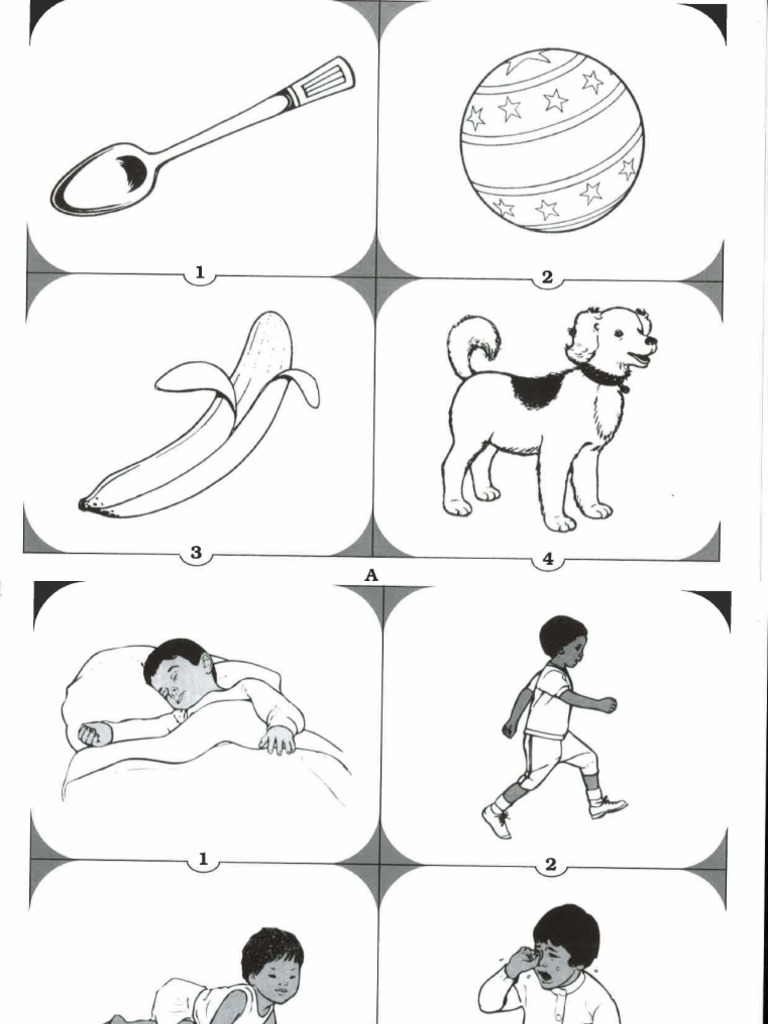 Laminas Peabody | PDF