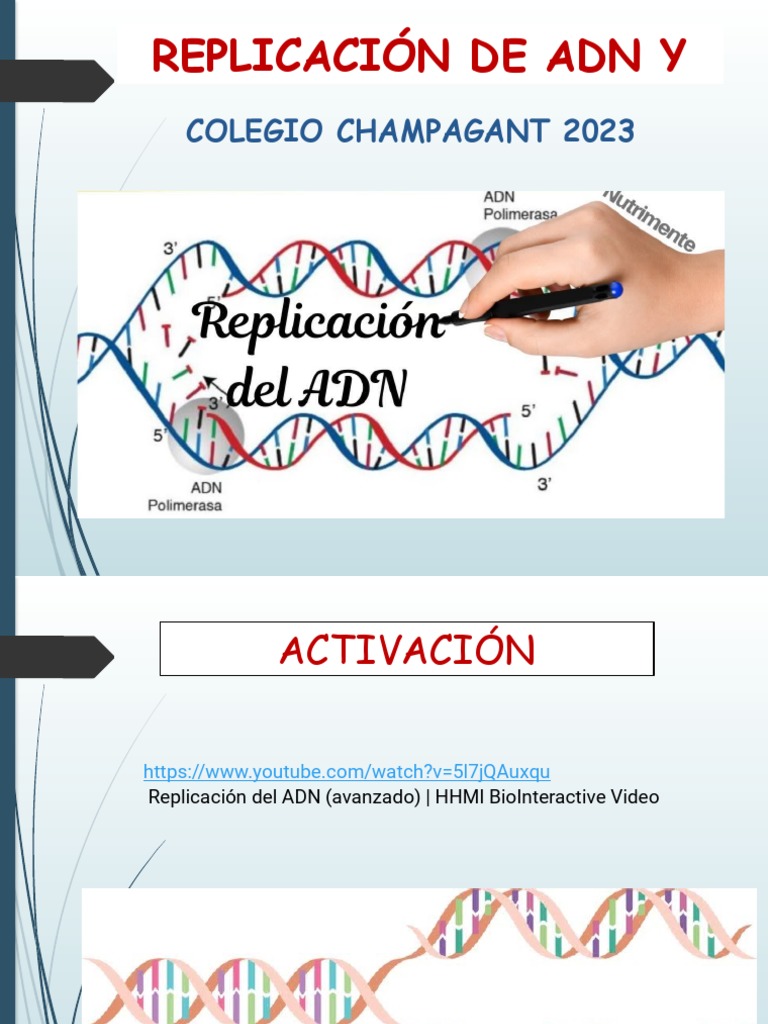 Replicación Adn - 2023 | PDF | Replicación De Adn | Adn