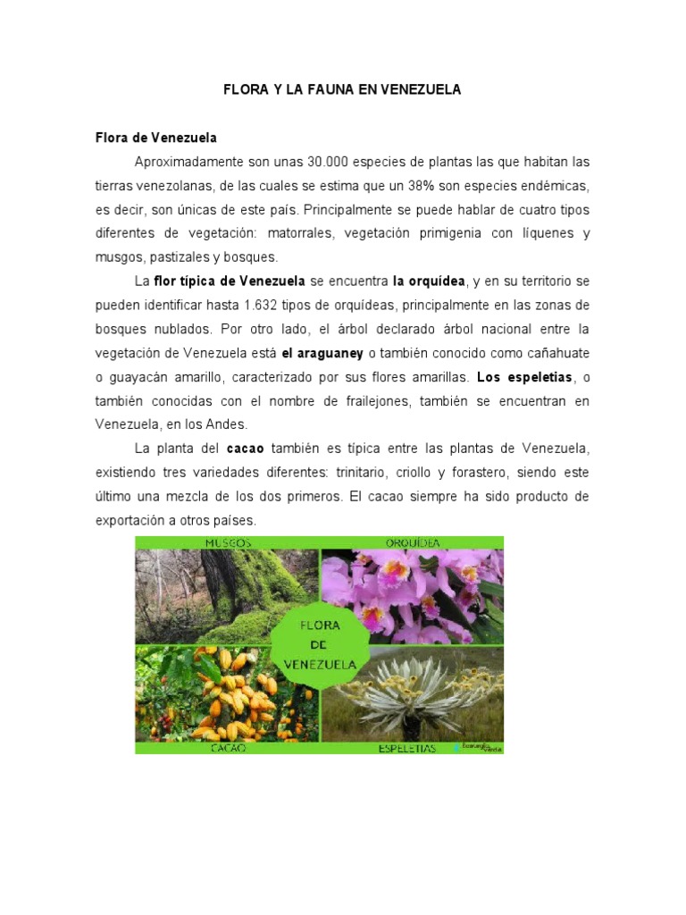 Flora y Fauna de Venezuela: Especies Clave | PDF | Venezuela | Organismos