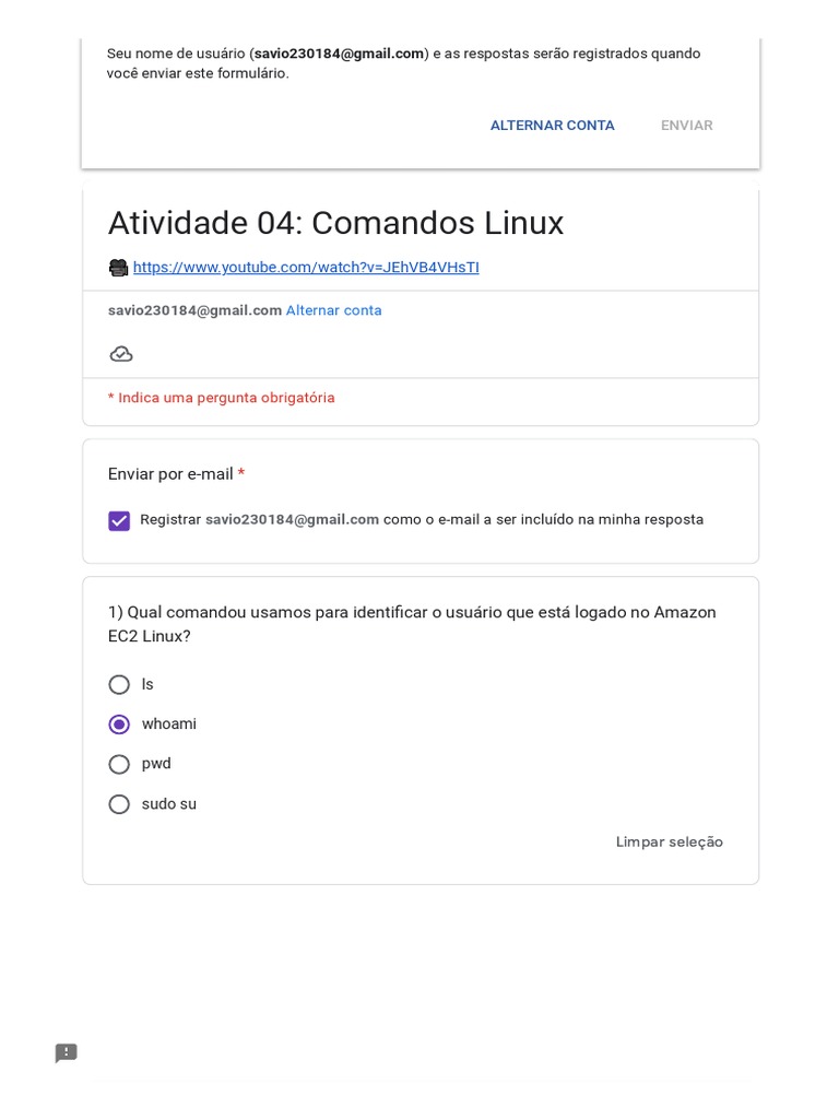 Atividade 04 - Comandos Linux | PDF | Casa e Jardim | Computadores