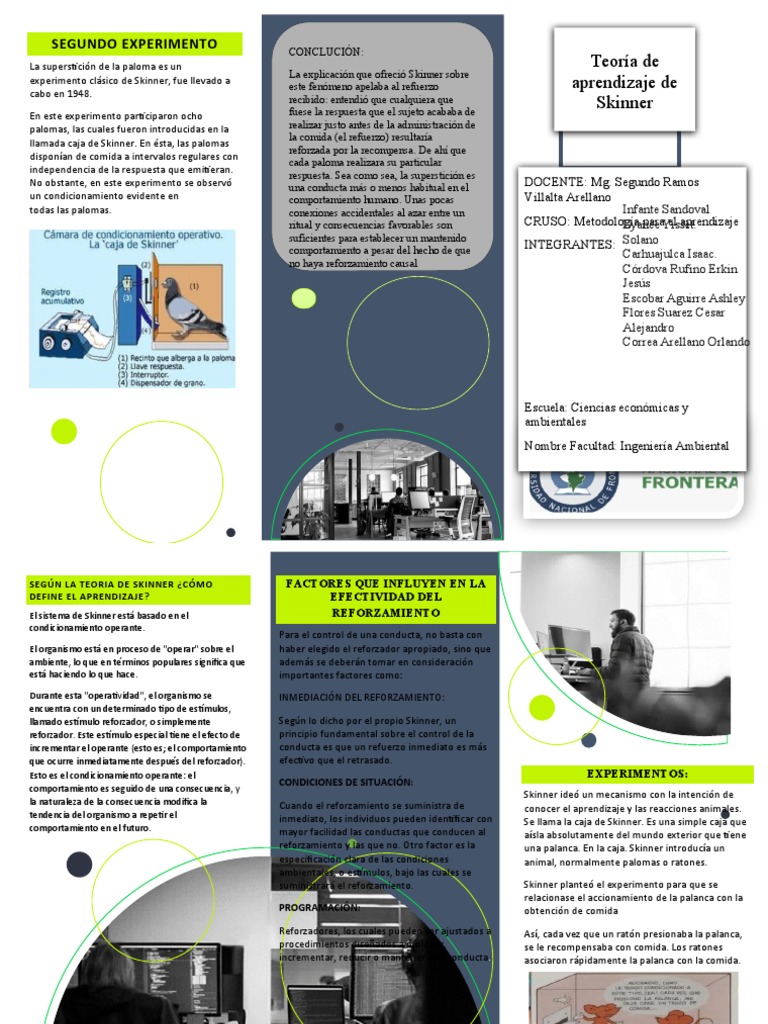 Tripticos de Las Teorias de Skinner y Bruner | PDF | Behaviorismo | Conceptos psicologicos
