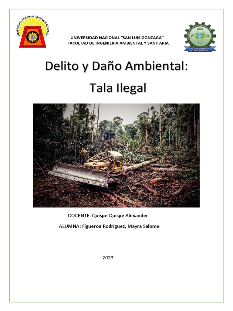 Tala Ilegal | Descargar gratis PDF | Deforestación | Los bosques
