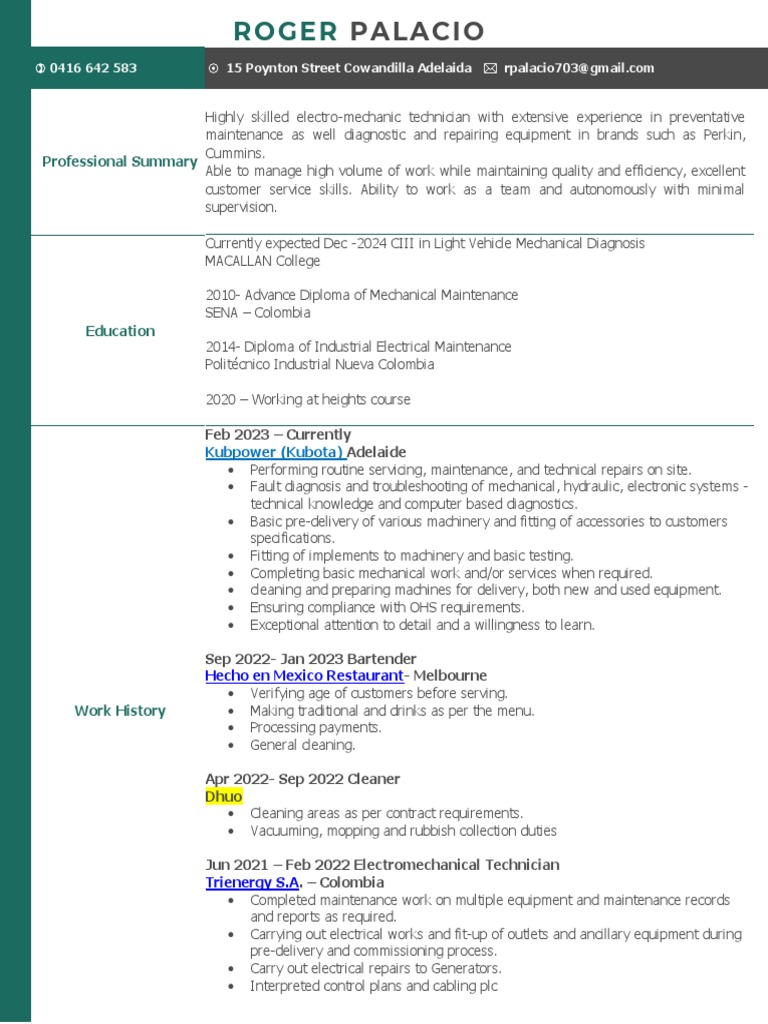 Roger Palacio CV | PDF | Hogar, jardinería y bricolaje | Informática