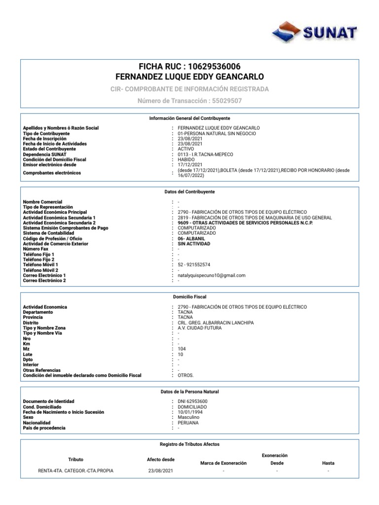 Sunat - Menú Sol | PDF | Economias