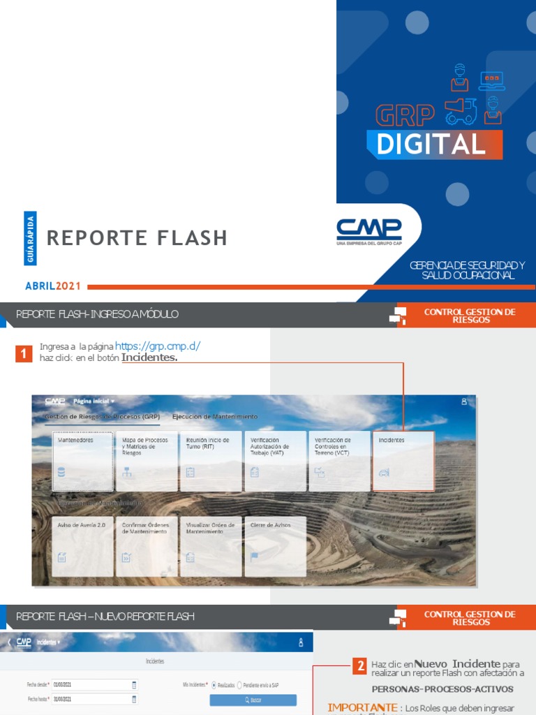 Anexo 1.7. Guia Rapida Reporte Flash | PDF