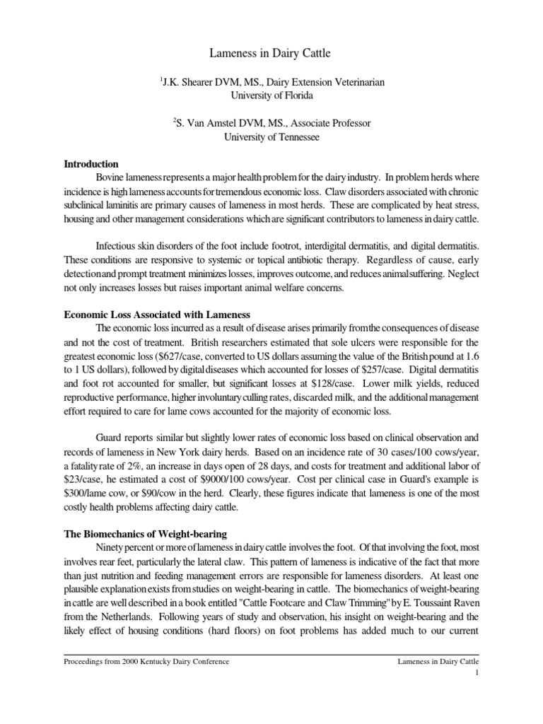 Lameness in Dairy Cattle | PDF | Dairy Cattle | Cattle