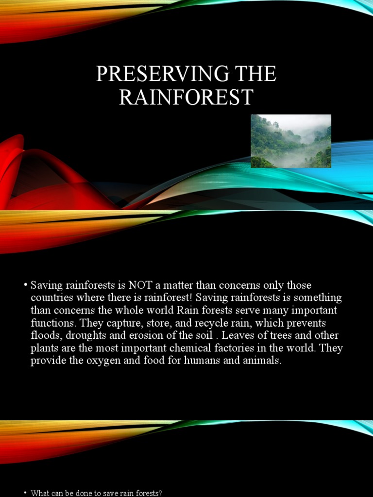Preserving The Rainforest | PDF