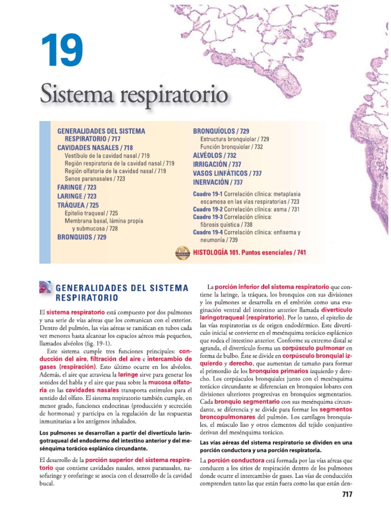Ross, Cap 19 - Sistema Respiratorio | PDF