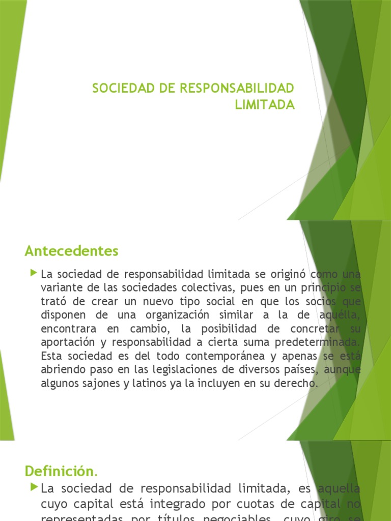 Sociedad de Responsabilidad Limitada | PDF