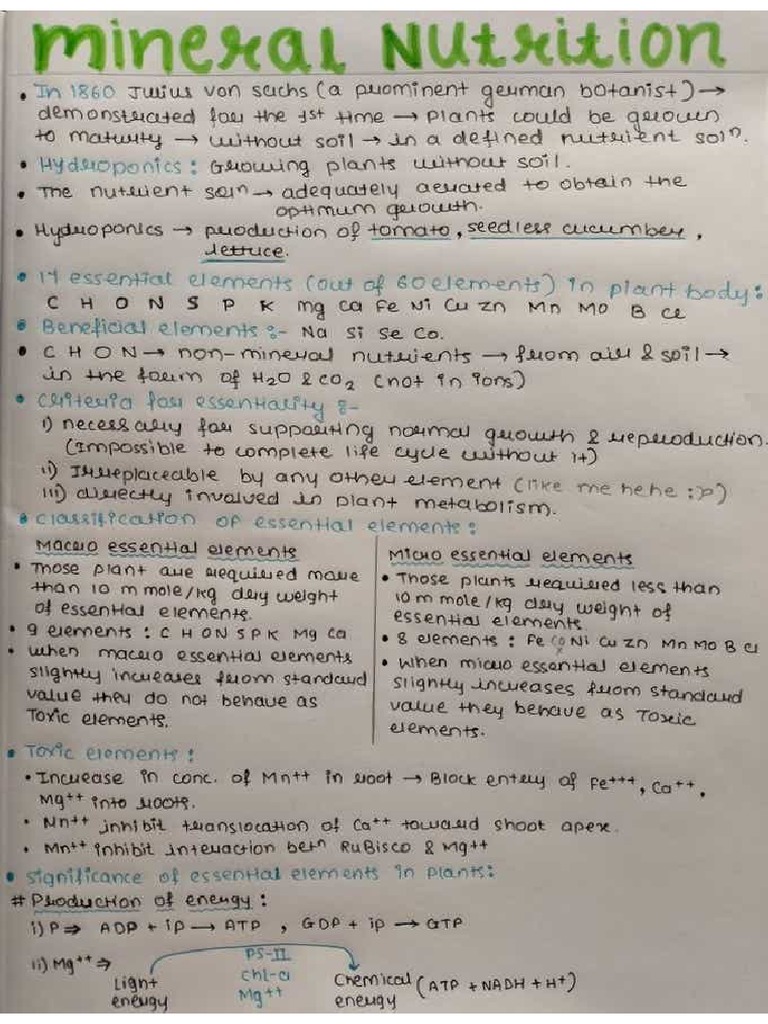 Neet Quick Revision | PDF