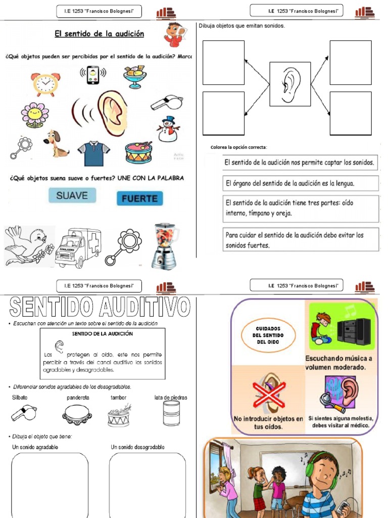 Ficha Del Sentido Del Oido | PDF