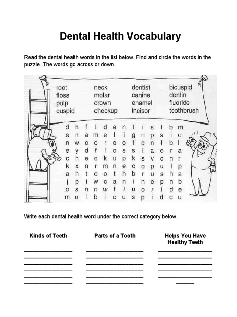 1.3 Dental Health Vocabulary | PDF