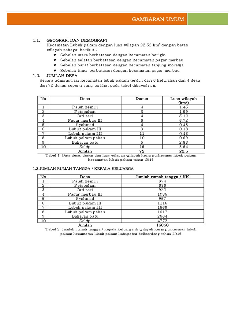 Geografi Dan Demografi | PDF