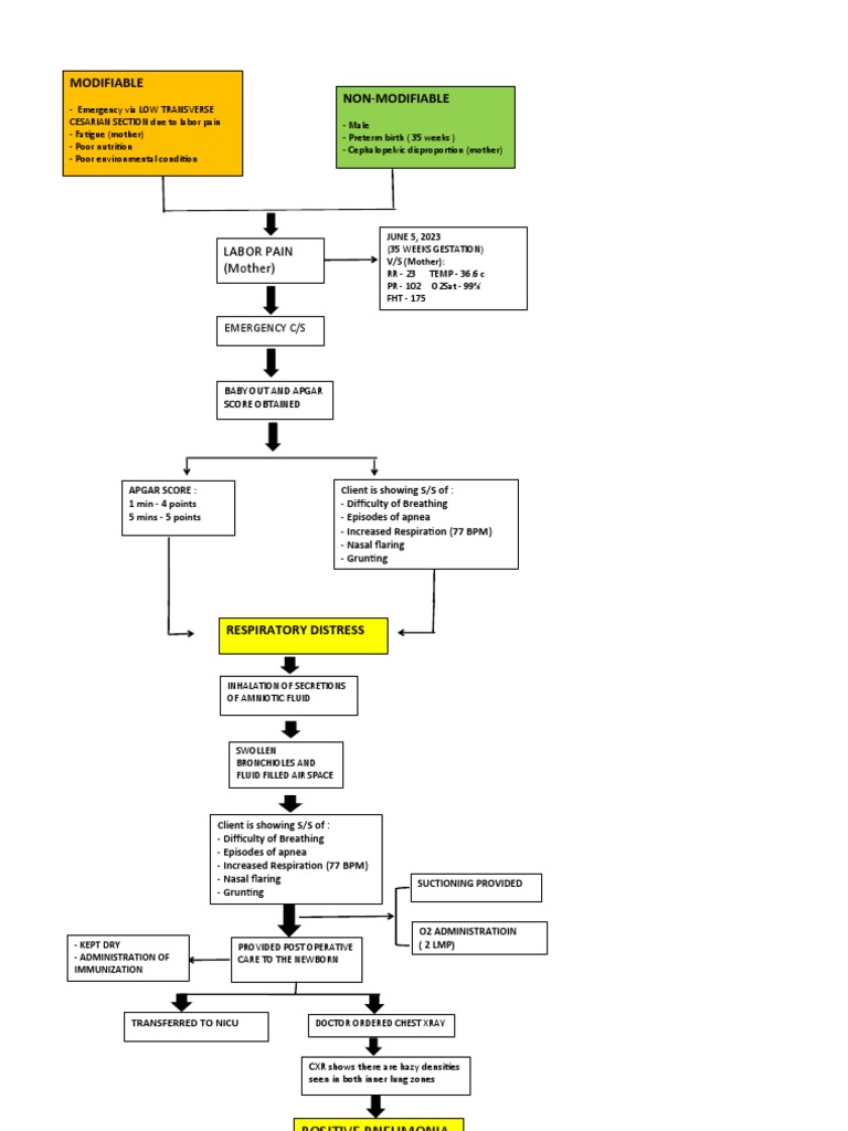 RDS Pathophysiology | PDF | Respiratory System | Childbirth