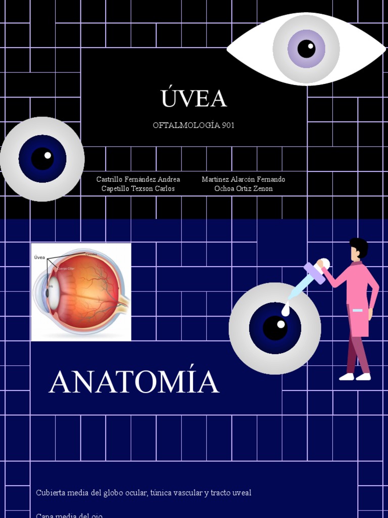 Anatomía y enfermedades de la úvea ocular | PDF | Ojo humano ...