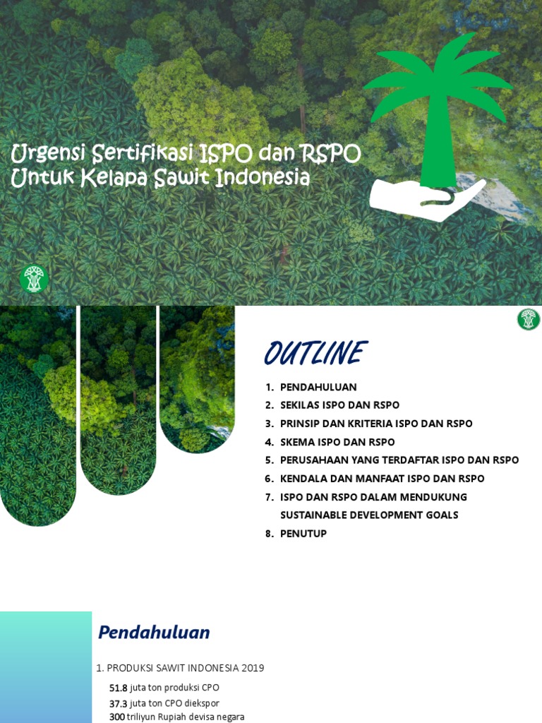 Urgensi Sertfikasi ISPO Dan RSPO Untuk Sawit Indonesia | PDF | Sains & Matematika
