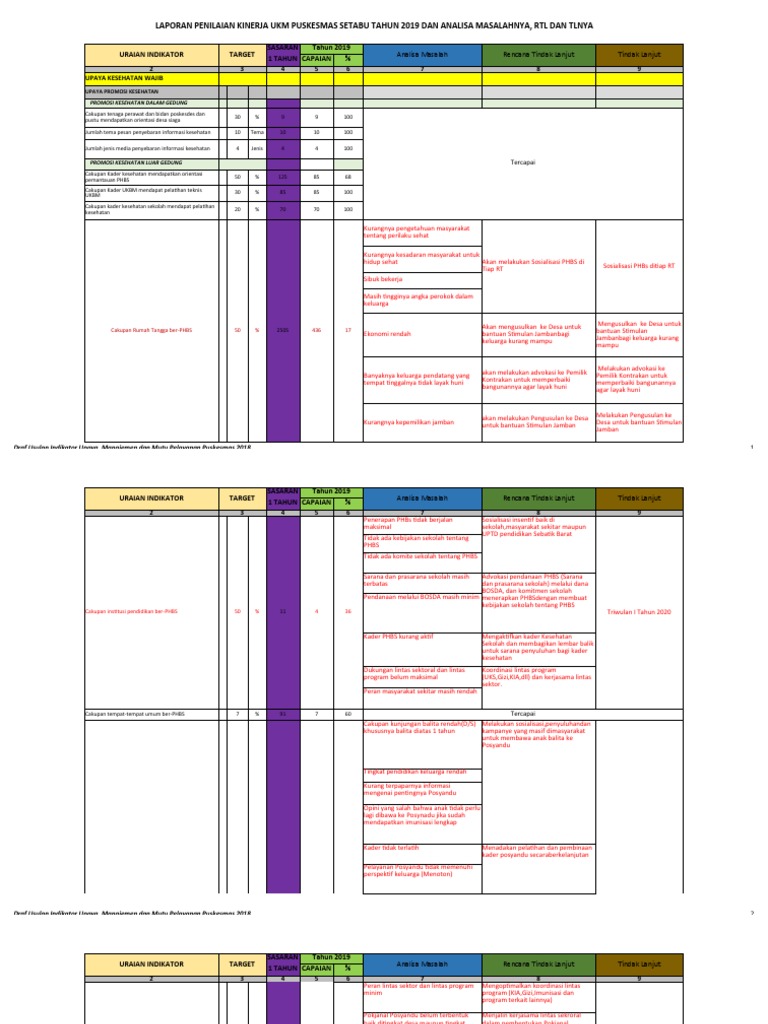 Cakupan Dan Analisa Capaian 2019 | PDF