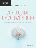 Cómo Curar Un Corazón Roto. 10 Aniversario | PDF