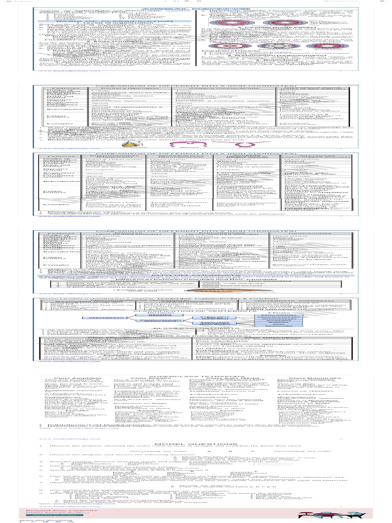 Kingdom Animalia Notes | PDF | Anatomy | Zoology