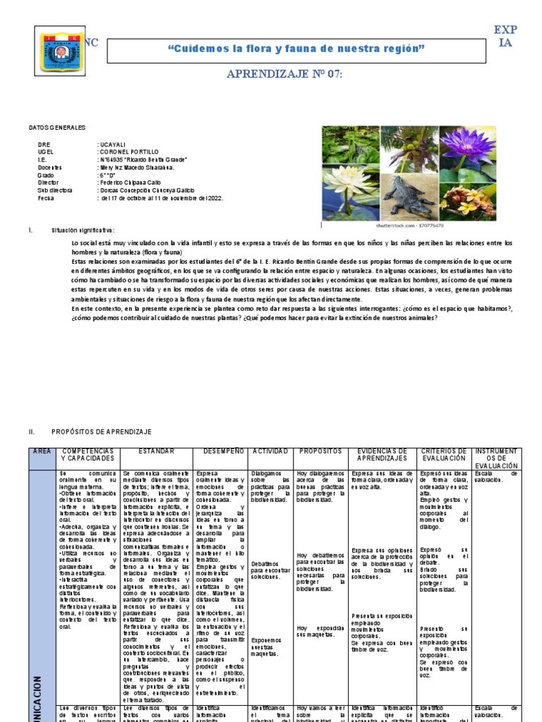Experiencia de Aprendizaje N 07 | PDF | Números | División (Matemáticas)
