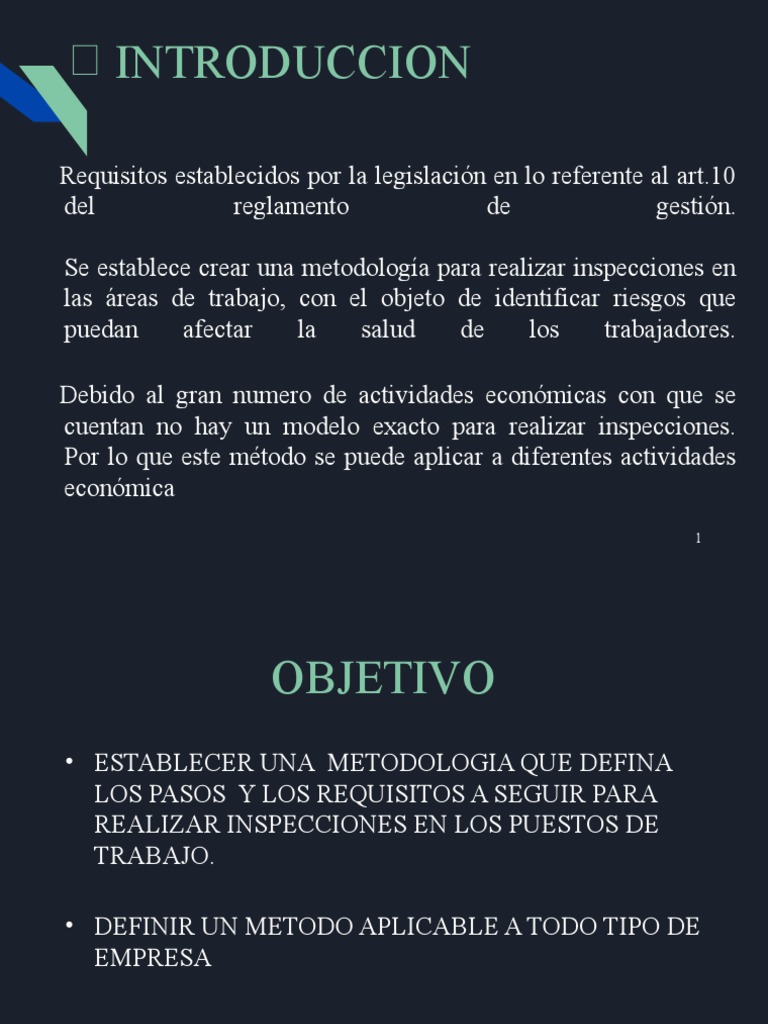 Metodologia para Efectuar Inspecciones | PDF