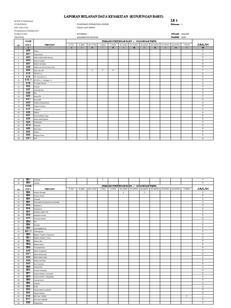 Laporan Bulanan Data Kesakitan (Kunjungan Baru) LB1 | PDF