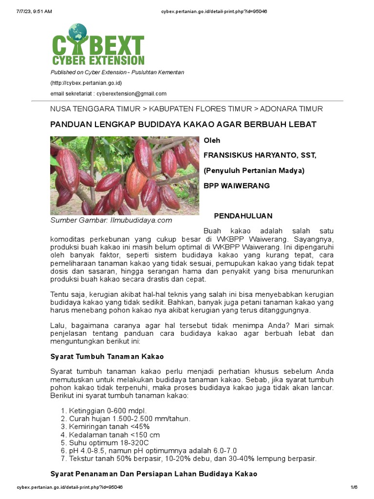 Budidaya Tanaman Kakao | PDF