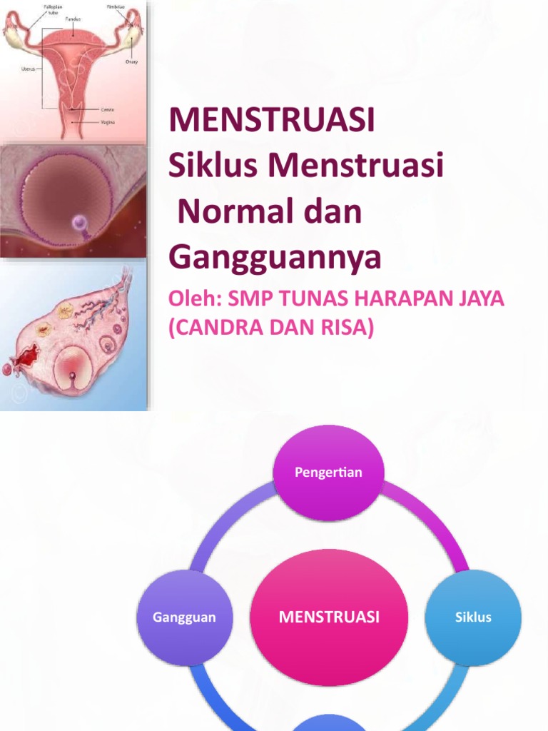 Siklus Menstruasi dan Gangguannya | PDF