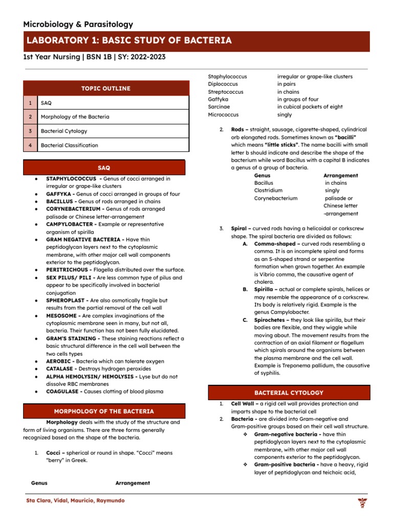 Lab 1 - Basic Study of Bacteria | PDF | Bacteria | Cell (Biology)