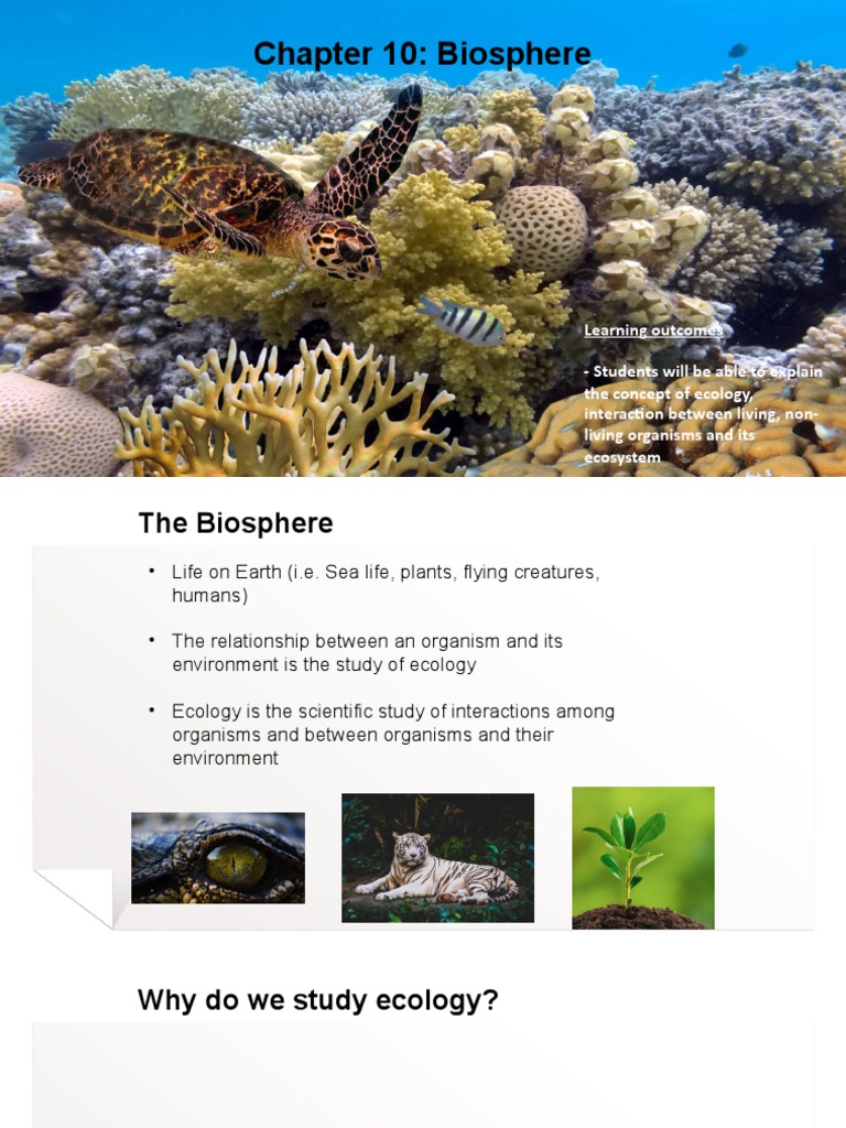 Biosphere | PDF | Food Web | Ecosystem