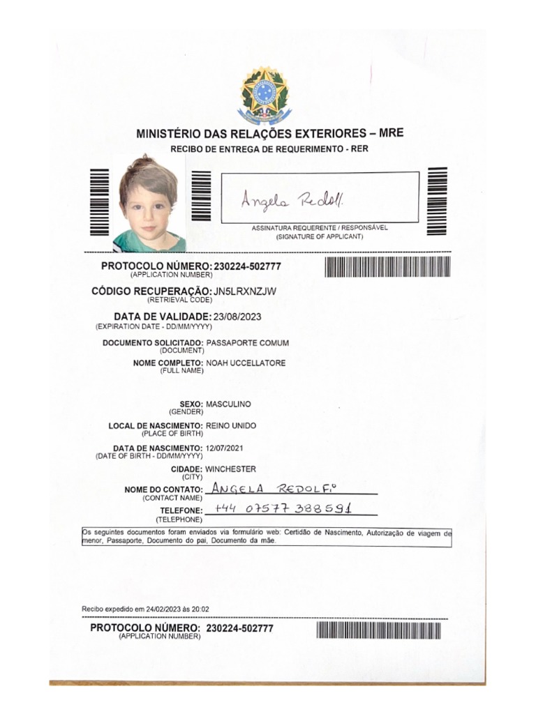 Recibo de Entrega de Requerimento - Rer | PDF