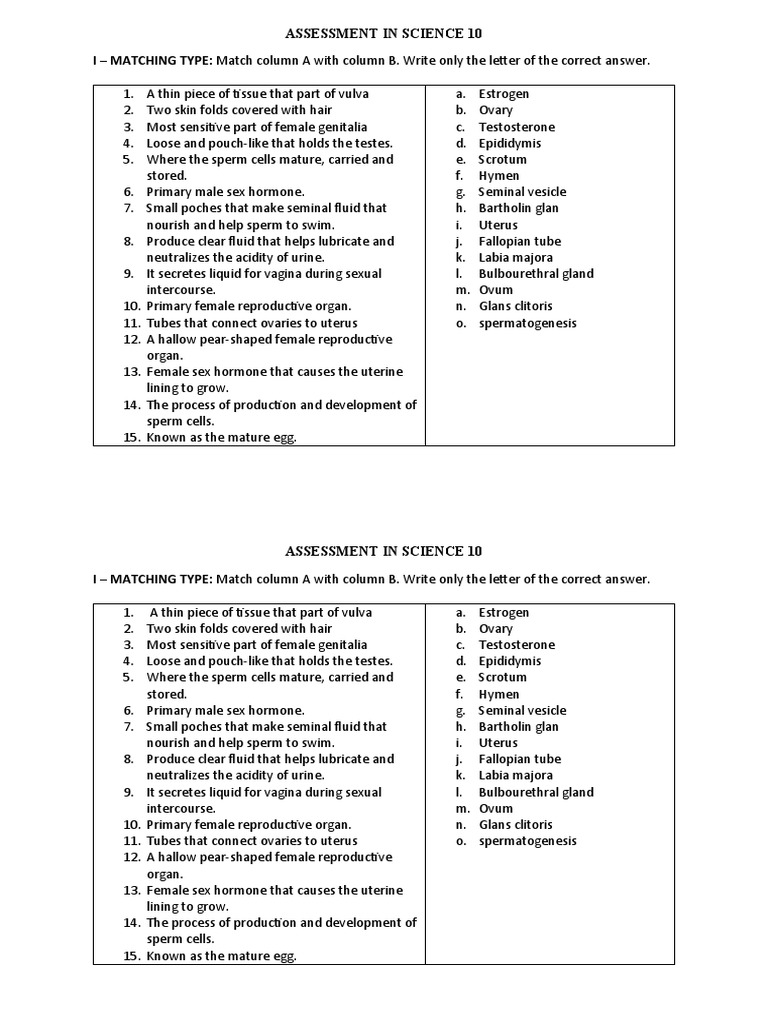 ASSESSMENT Reproductive System | PDF | Menstrual Cycle | Reproductive ...