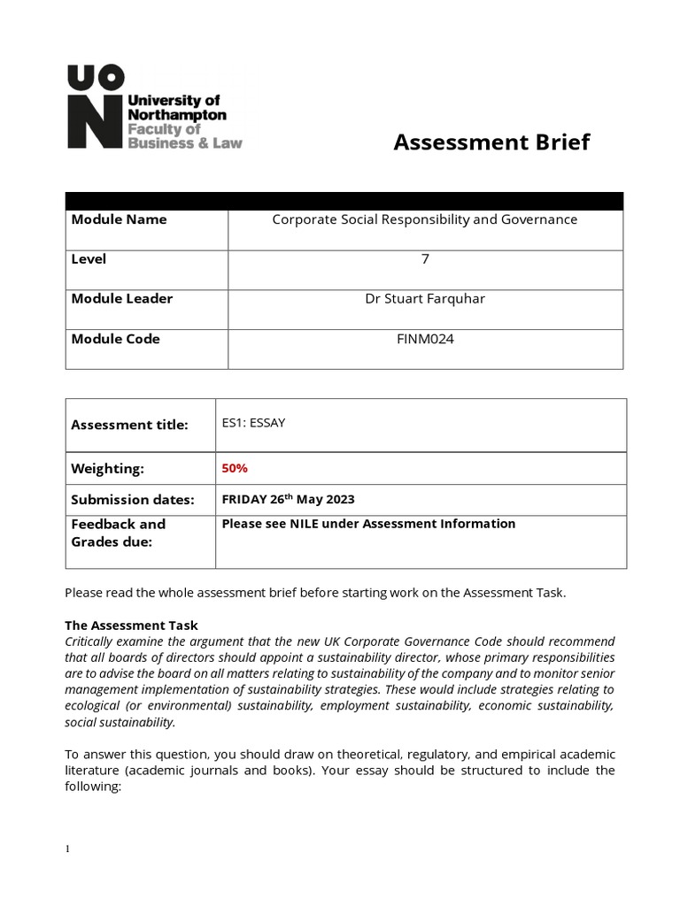 FINM024 ES1 Assessment Brief | PDF | Turnitin | Governance