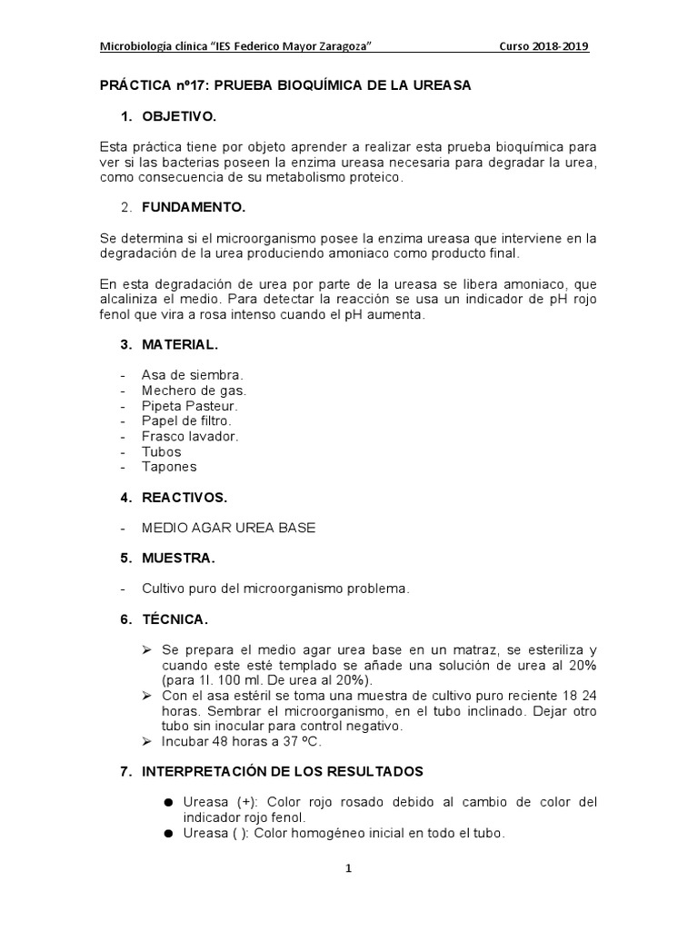 PRÁCTICA nº 17 prueba bioquímica de la ureasa | PDF | Urea | Microbiología