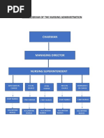 Hospital Matron Job Responsibilities | PDF | Nursing | Hospital