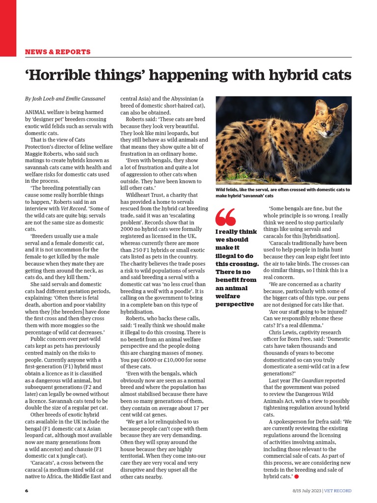 Veterinary Record - 2023 - Loeb - Horrible Things Happening With Hybrid ...