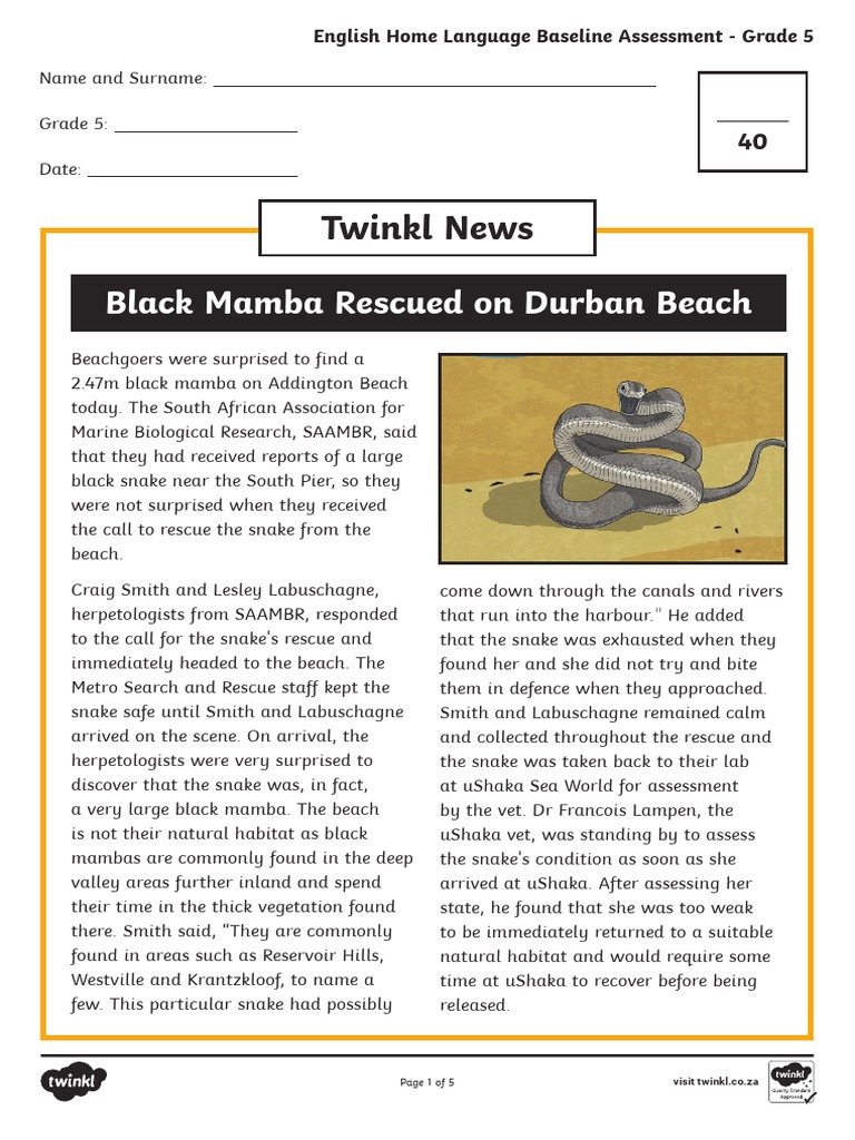 Grade 5 Home Language | PDF | English Language | Metaphor